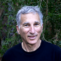 Bio Richard Grossinger – The Other Side of Midnight